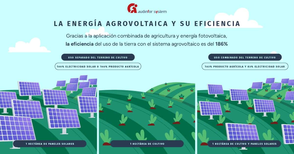 Energía agrovoltaica: ¿Qué es y cómo funciona? - 【Audinfor】